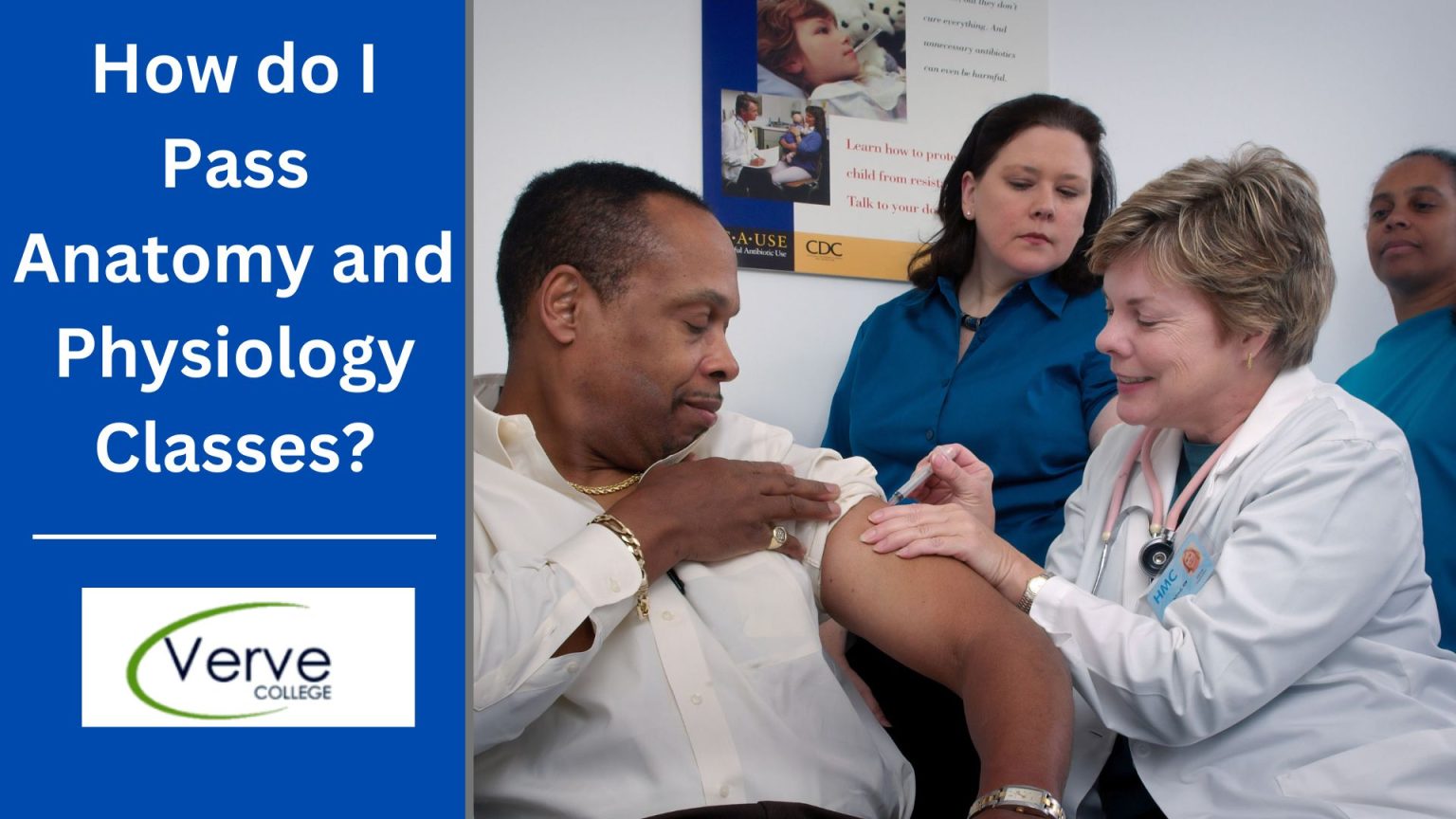 How Can I Succeed in My Anatomy and Physiology Classes?