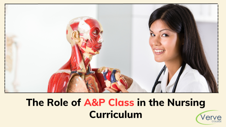 What is the Role of A&P Class in the Nursing Curriculum