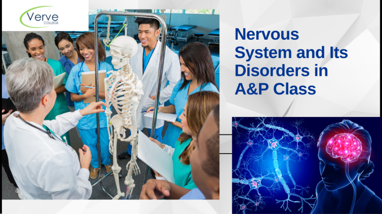 All About Nervous System and Its Disorders in A&P Class