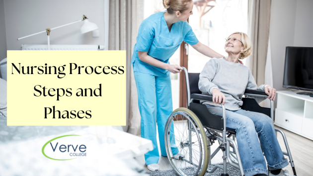 What are Nursing Process Steps and Phases: LPN Programs