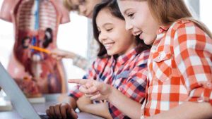 Comparative Anatomy & Its Example To Understand Better